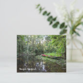 Amazon Rainforest Postcard | Zazzle