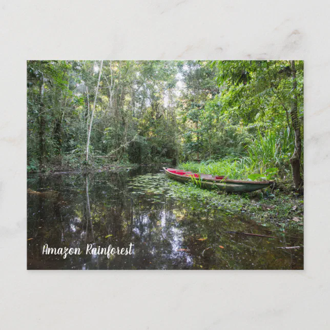 Amazon Rainforest Postcard | Zazzle