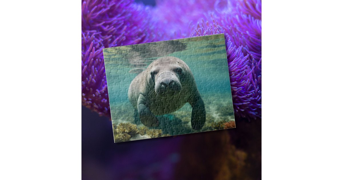 Amazonian Manatee swimming above reef. Jigsaw Puzzle | Zazzle