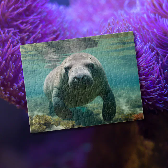 Amazonian Manatee swimming above reef. Jigsaw Puzzle | Zazzle