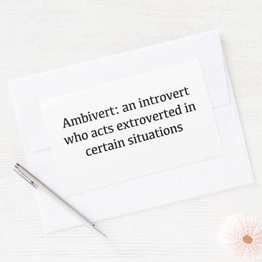 Ambivert Definition Rectangular Sticker | Zazzle
