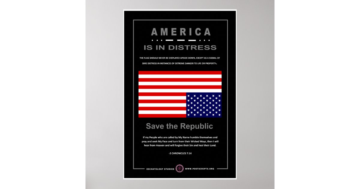 America is in Distress Poster | Zazzle