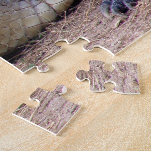 American Alligator Jigsaw Puzzle | Zazzle