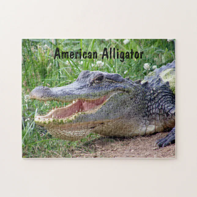 American Alligator Jigsaw Puzzle | Zazzle