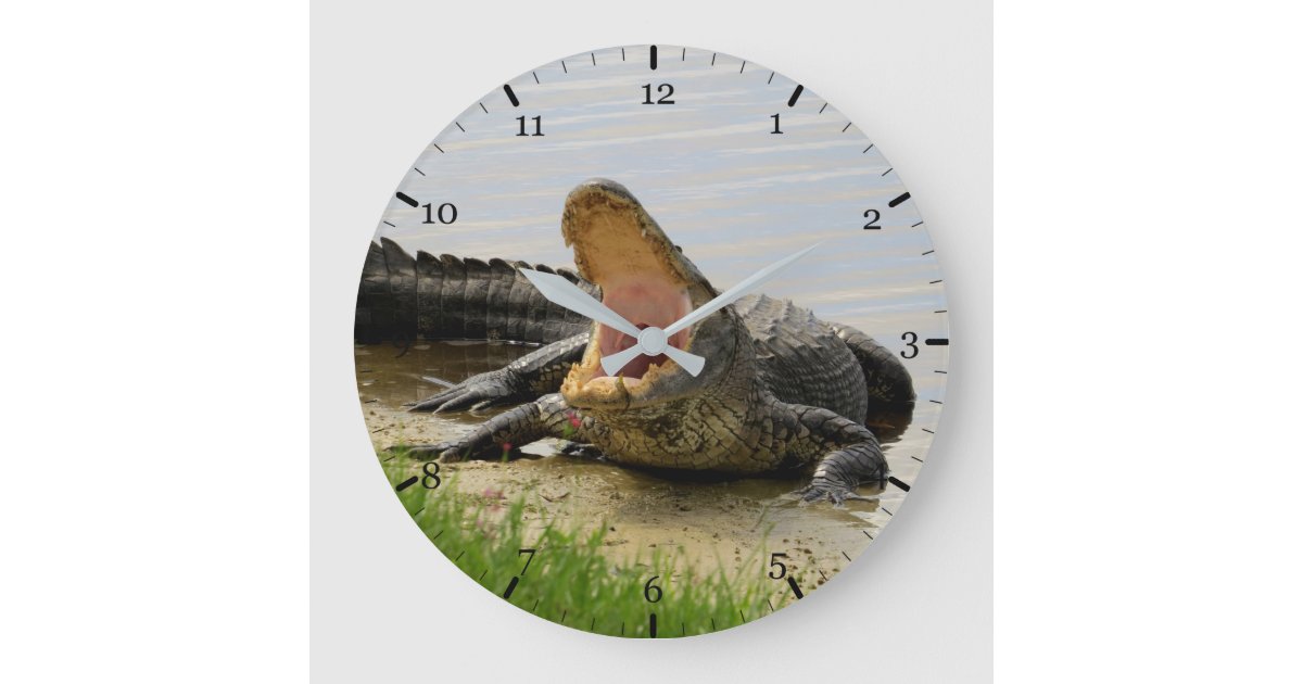 American alligator large clock | Zazzle