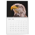 American Bald Eagle 2014 Calendar | Zazzle