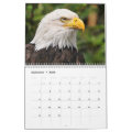 American Bald Eagle 2014 Calendar | Zazzle