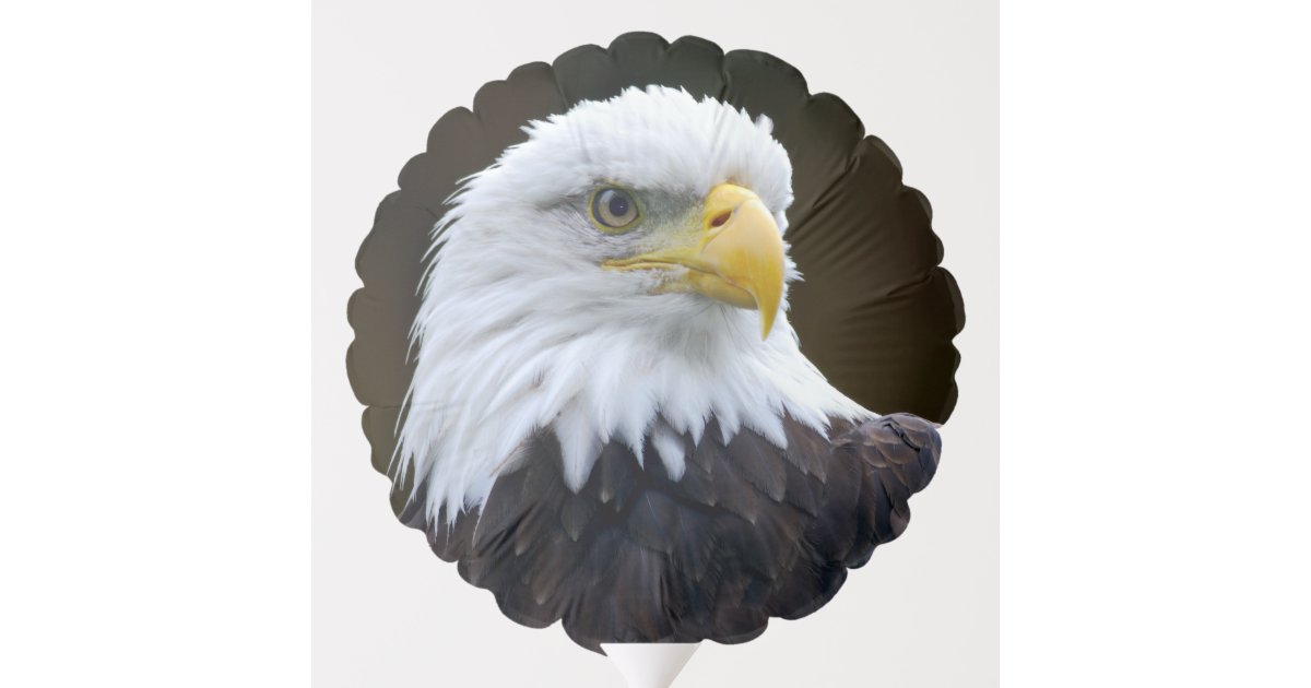 American Bald Eagle Balloon | Zazzle