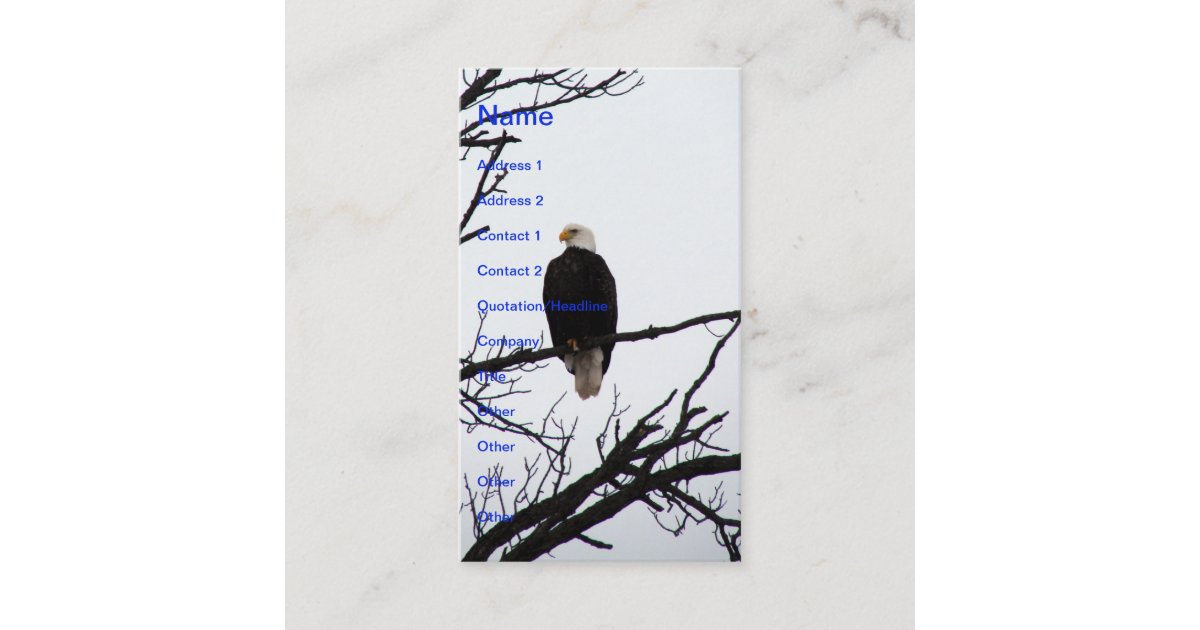 American Bald Eagle Business Card | Zazzle