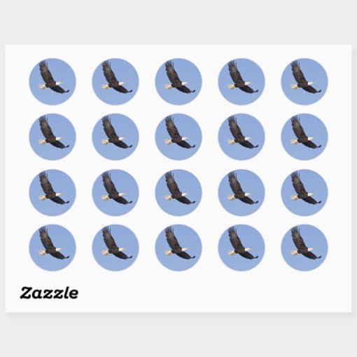 American Bald Eagle Classic Round Sticker | Zazzle