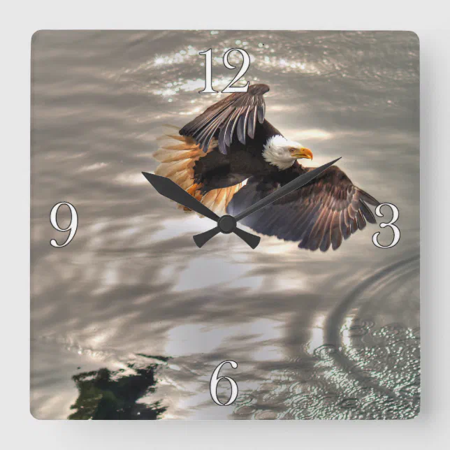 American Bald Eagle Flying Over Ocean Square Wall Clock | Zazzle