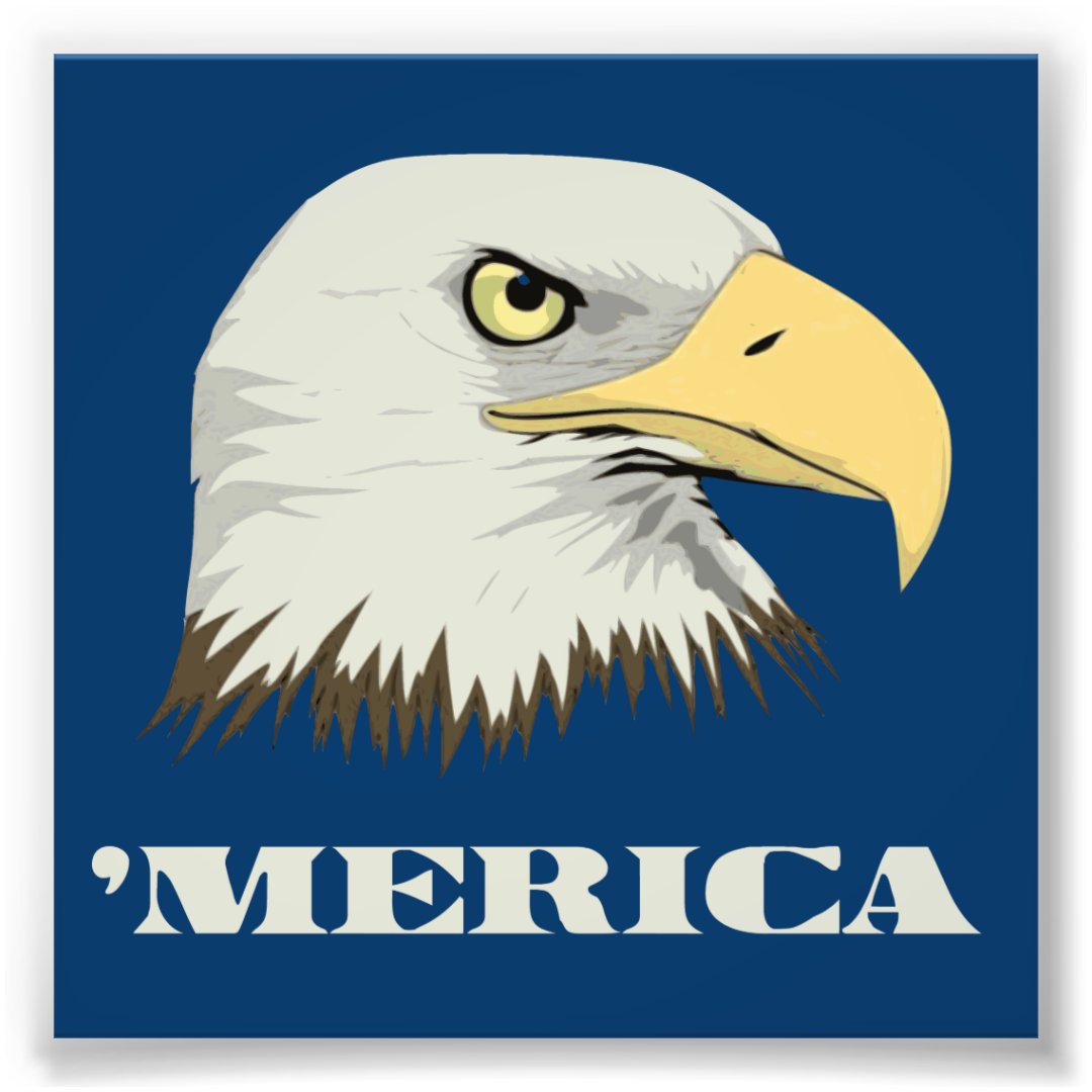 American Bald Eagle For Merica Photo Print | Zazzle