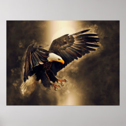 American Bald Eagle Let Freedom Soar Poster | Zazzle