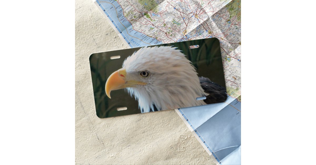 American Bald Eagle License Plate | Zazzle