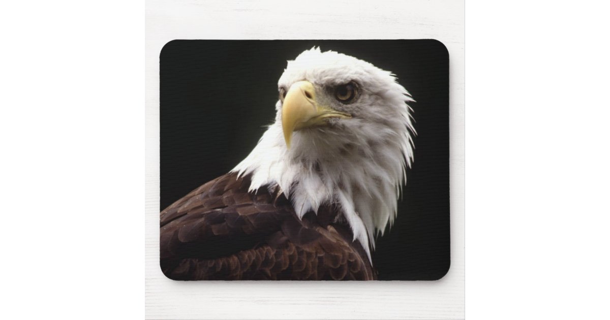 American Bald Eagle Mouse Pad | Zazzle
