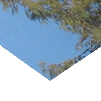 American Bald Eagle Tissue Tissue Paper | Zazzle