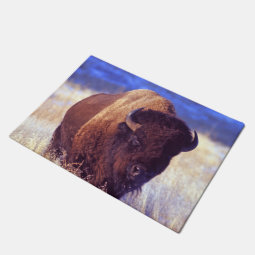 American Bison - Buffalo Doormat | Zazzle