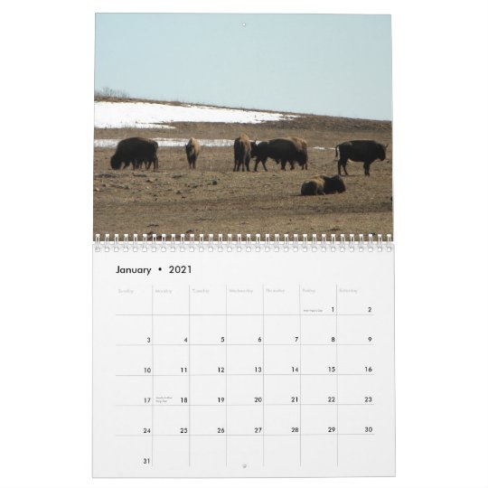 American Bison Calendar | Zazzle.com