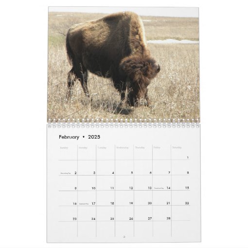 American Bison Calendar | Zazzle