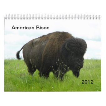 American Bison Calendar | Zazzle