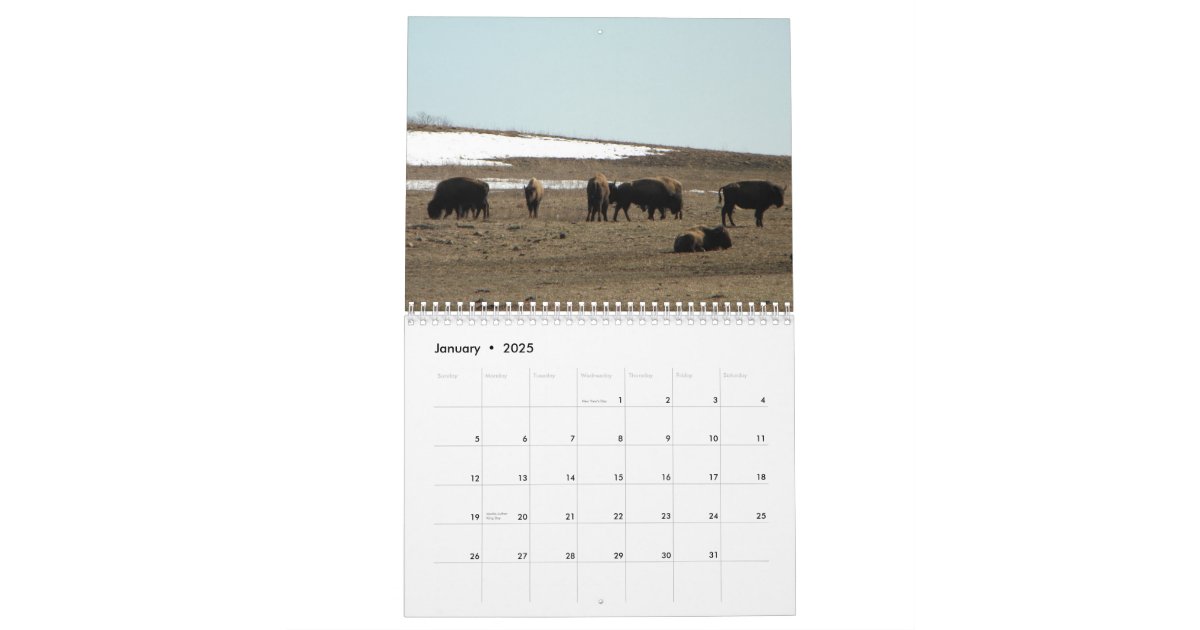American Bison Calendar | Zazzle