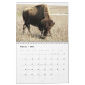 American Bison Calendar | Zazzle