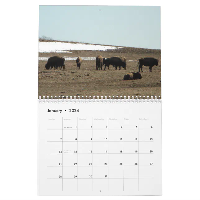 American Bison Calendar | Zazzle