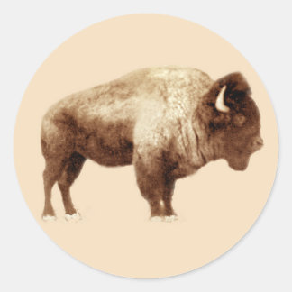 Bison Stickers | Zazzle