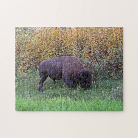 American Bison Design Jigsaw Puzzle | Zazzle.com