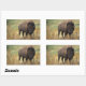 American Bison Stickers | Zazzle