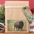 American Bison Stickers | Zazzle