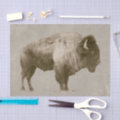 American Bison Tissue Paper | Zazzle