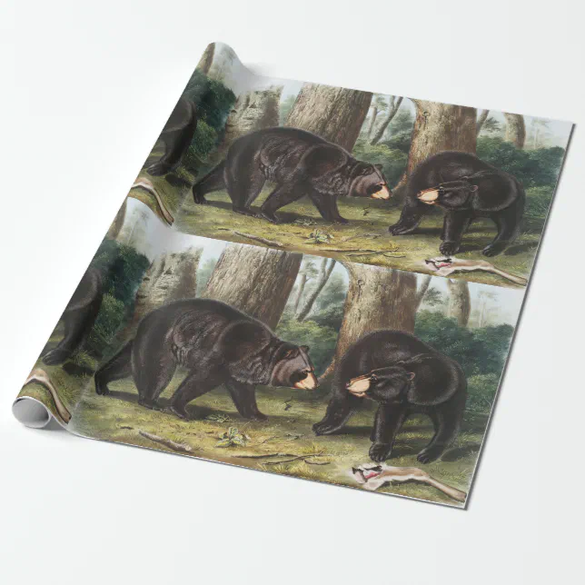 American Black Bear Ursus Americanus Illustration Wrapping Paper | Zazzle