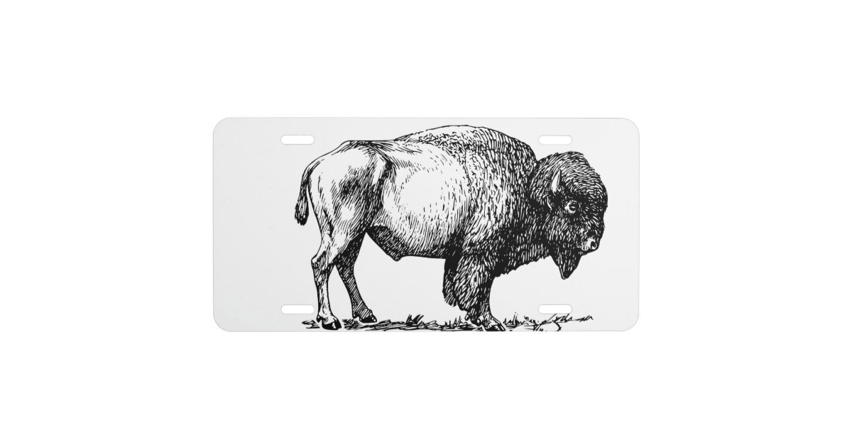 American Buffalo Bison License Plate | Zazzle