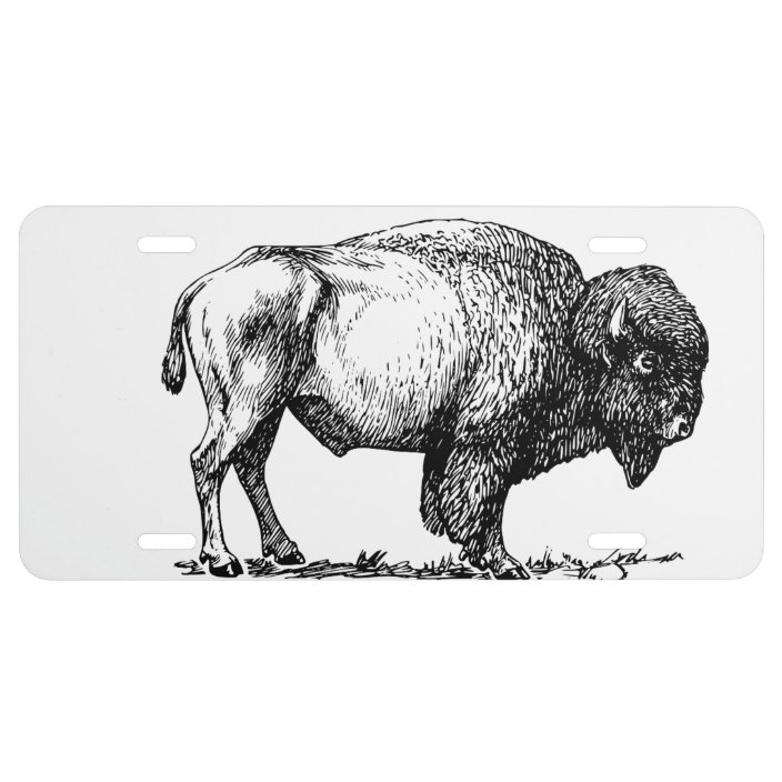 American Buffalo Bison License Plate | Zazzle.com