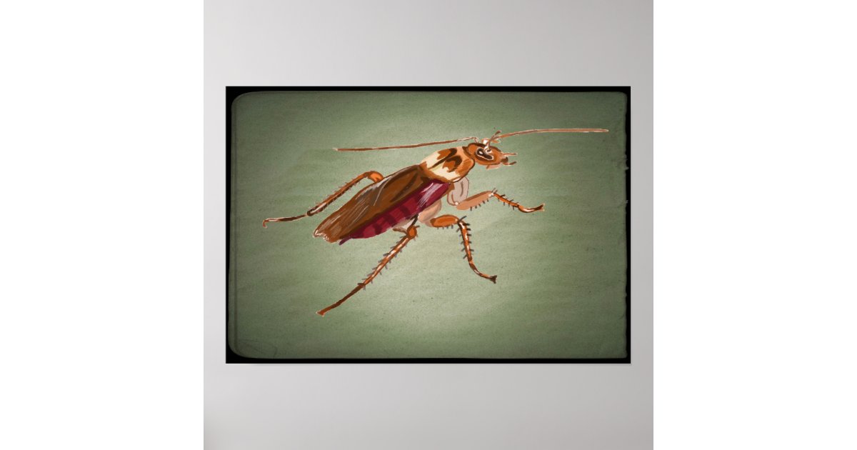 American Cockroach 荒 Poster | Zazzle
