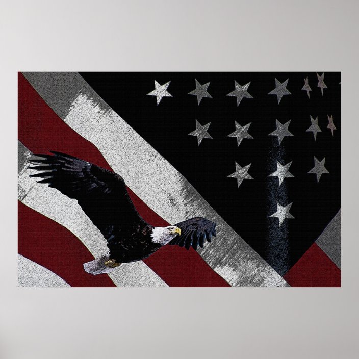 American Eagle 36 x 24 Poster | Zazzle.com