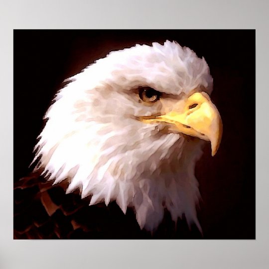 American Eagle Bald Eagle Poster Print | Zazzle.com