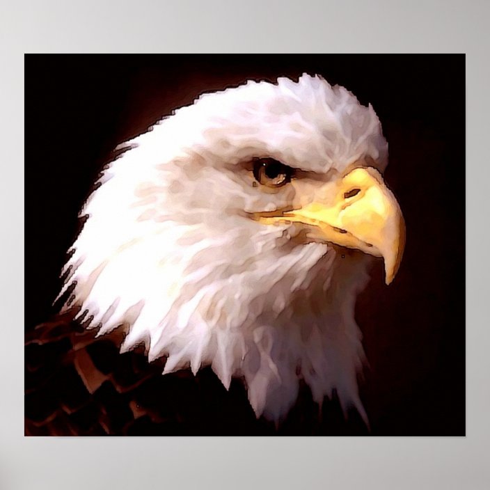 American Eagle Bald Eagle Poster Print | Zazzle.com