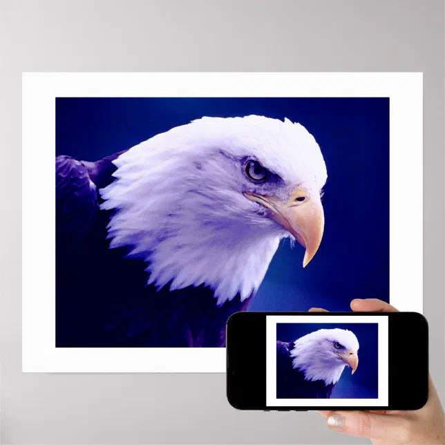American Eagles - Bald Eagle Posters Prints | Zazzle