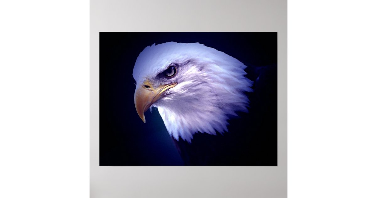 American Eagles - Bald Eagle Posters Prints | Zazzle