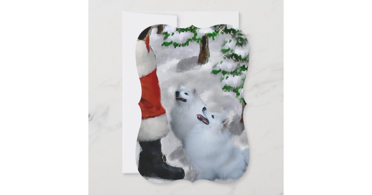 American Eskimo Christmas Cards | Zazzle
