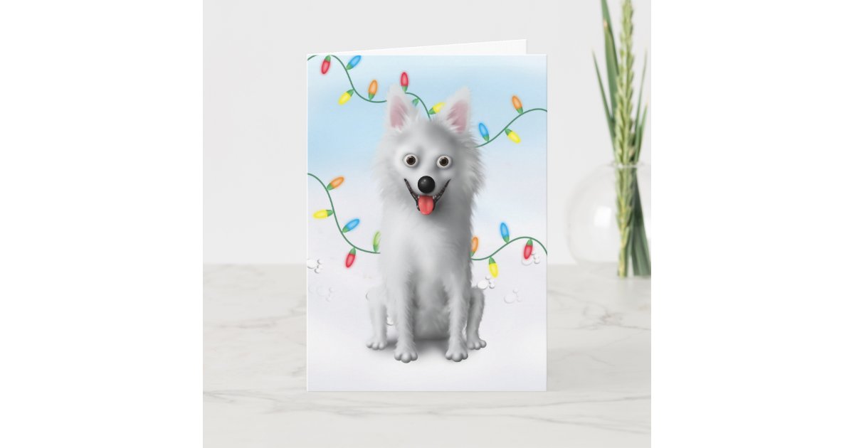 American Eskimo Christmas Holiday Card | Zazzle