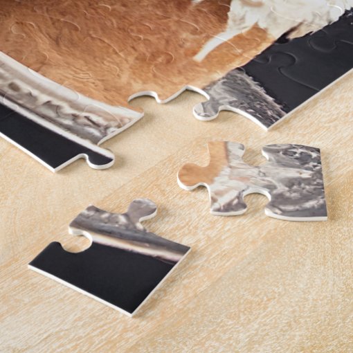 American eskimo dog with balloons birthday jigsaw puzzle | Zazzle