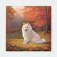 American Eskimo in Autumn Leaves Fall Inspired Magnet | Zazzle