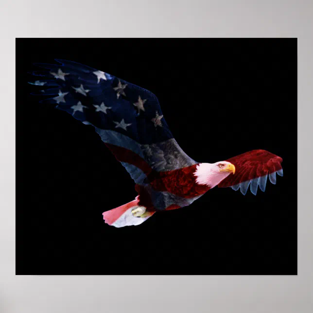 American Flag Bald Eagle Poster | Zazzle