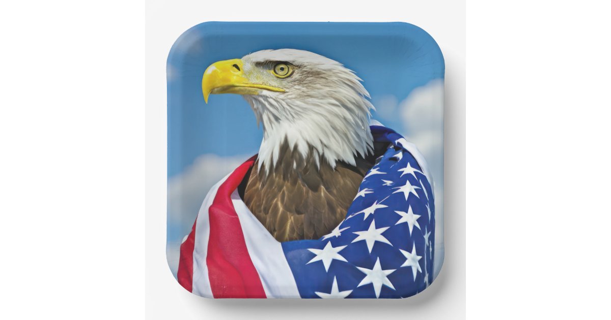 American Flag With Bald Eagle Paper Plates | Zazzle