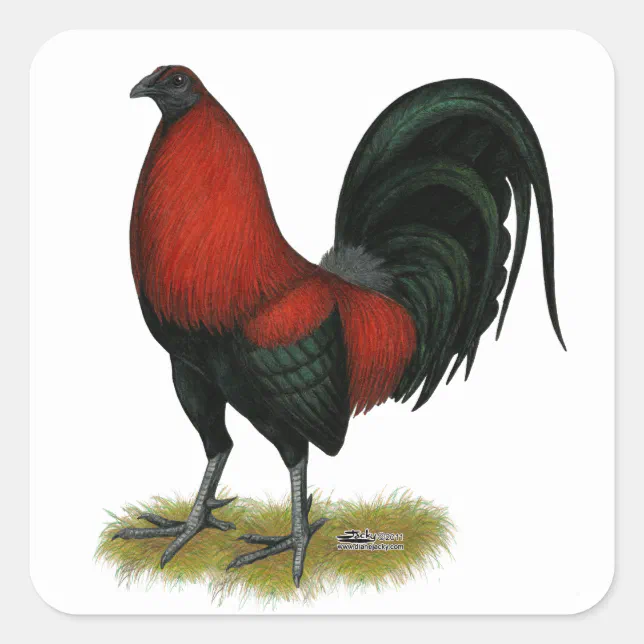 American Game BB Black Red Rooster Square Sticker | Zazzle