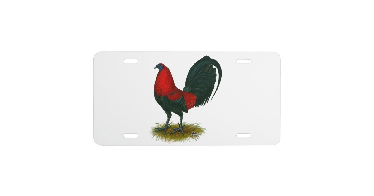 American Gamecock: Brown Red License Plate | Zazzle