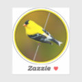 American Goldfinch - Original Photograph Sticker | Zazzle
